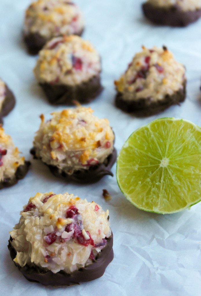 Cranberry Lime Coconut Macaroons – Baking Is A Science