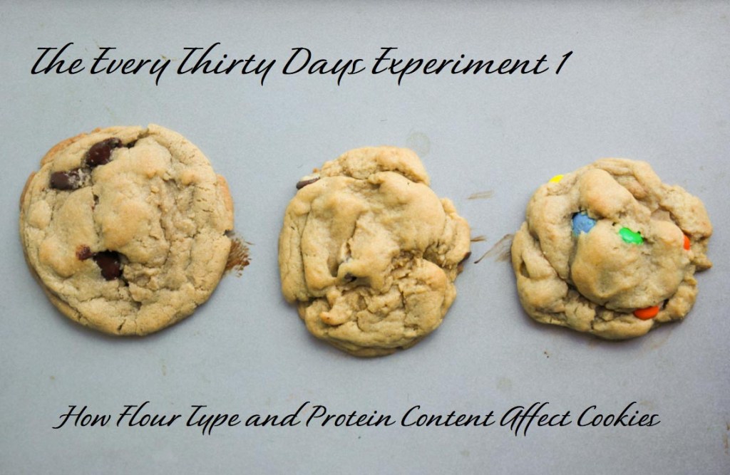 The Every Thirty Days Experiment 1 – Baking Is A Science
